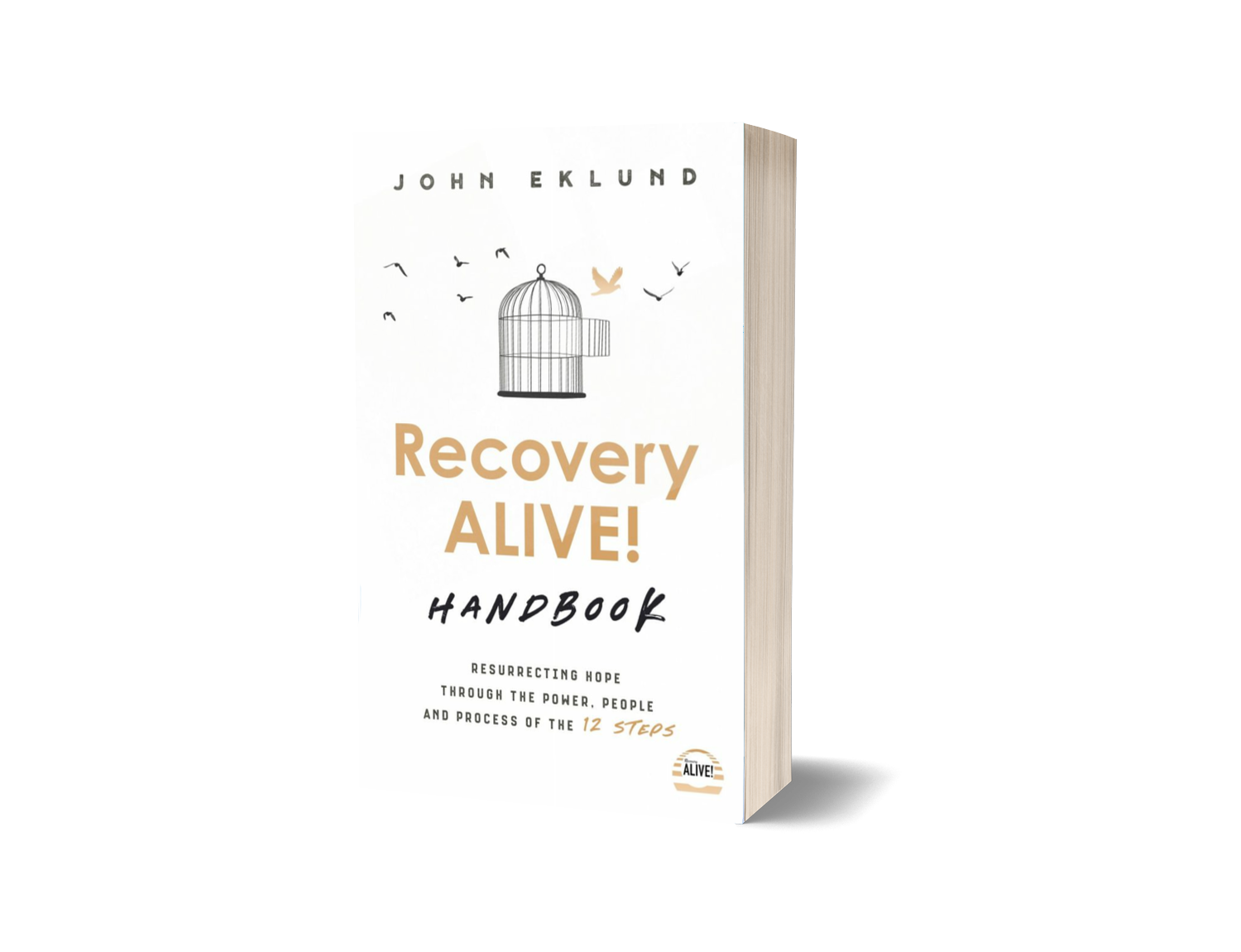 Recovery Alive Handbook - AACC