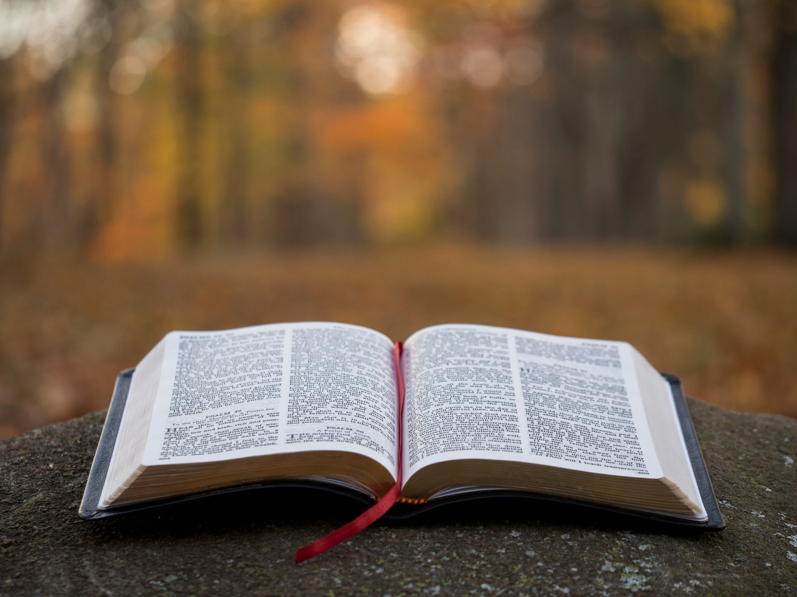 Counseling in the Image of God: Why the Imago Dei Matters - AACC